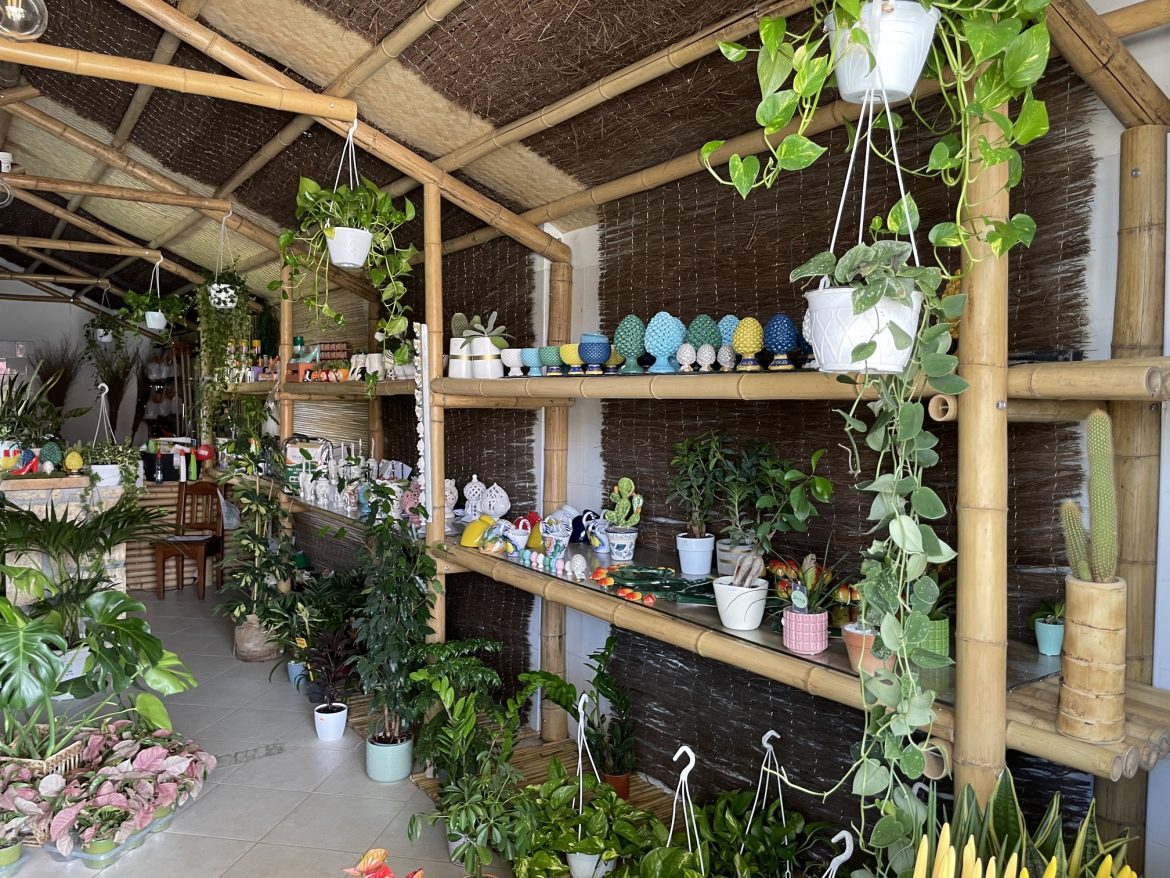 Vivaio Piante e Fiori Garden Center Oggettistica Casal Velino (Salerno ...