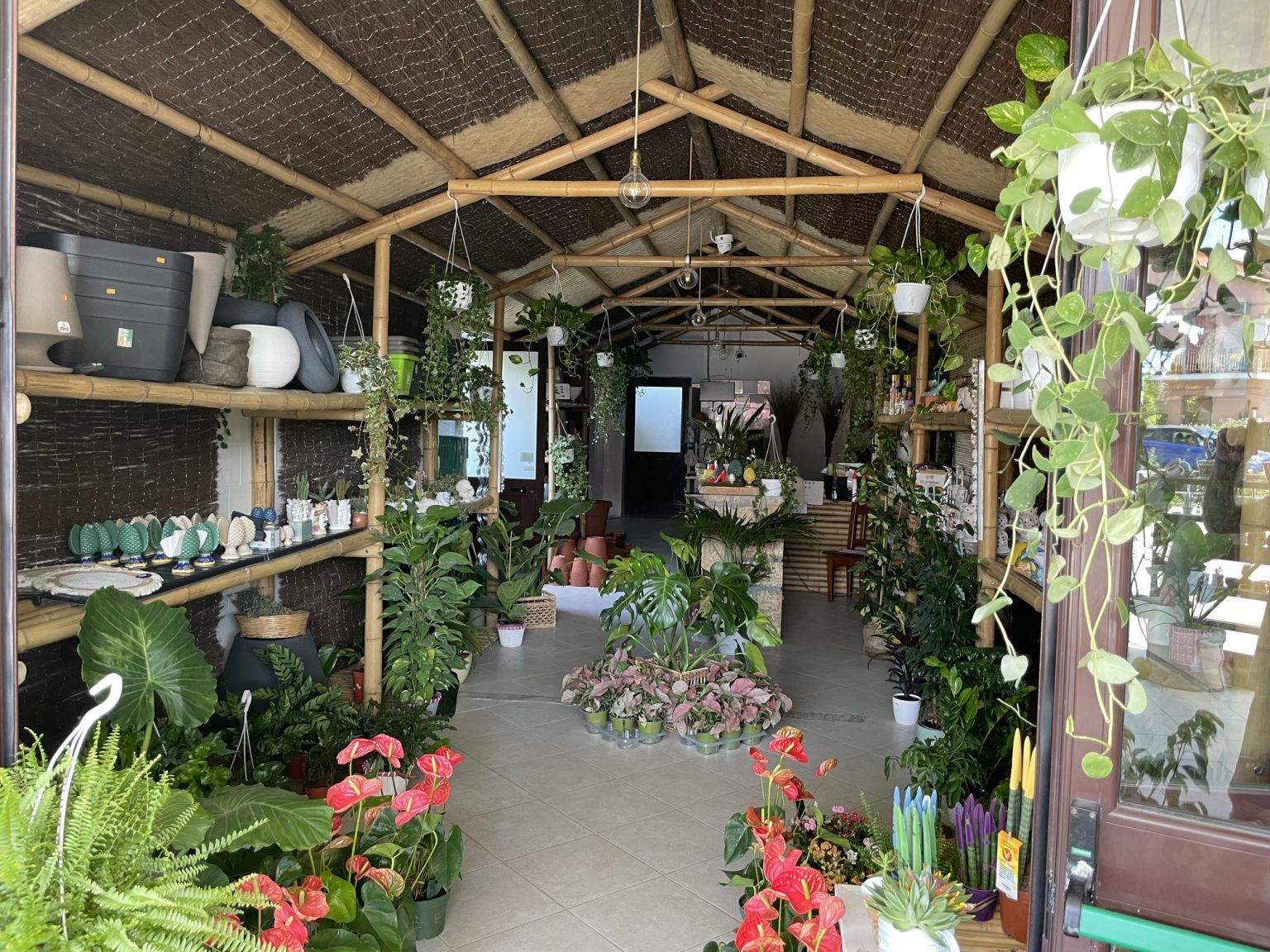 Vivaio Piante e Fiori Garden Center Oggettistica Casal Velino (Salerno ...